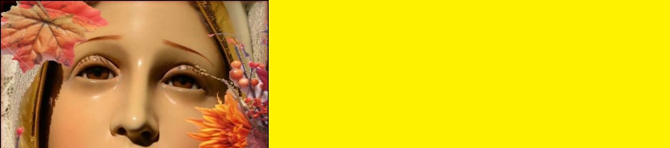 TELE CBNDF Network | Strimm TV